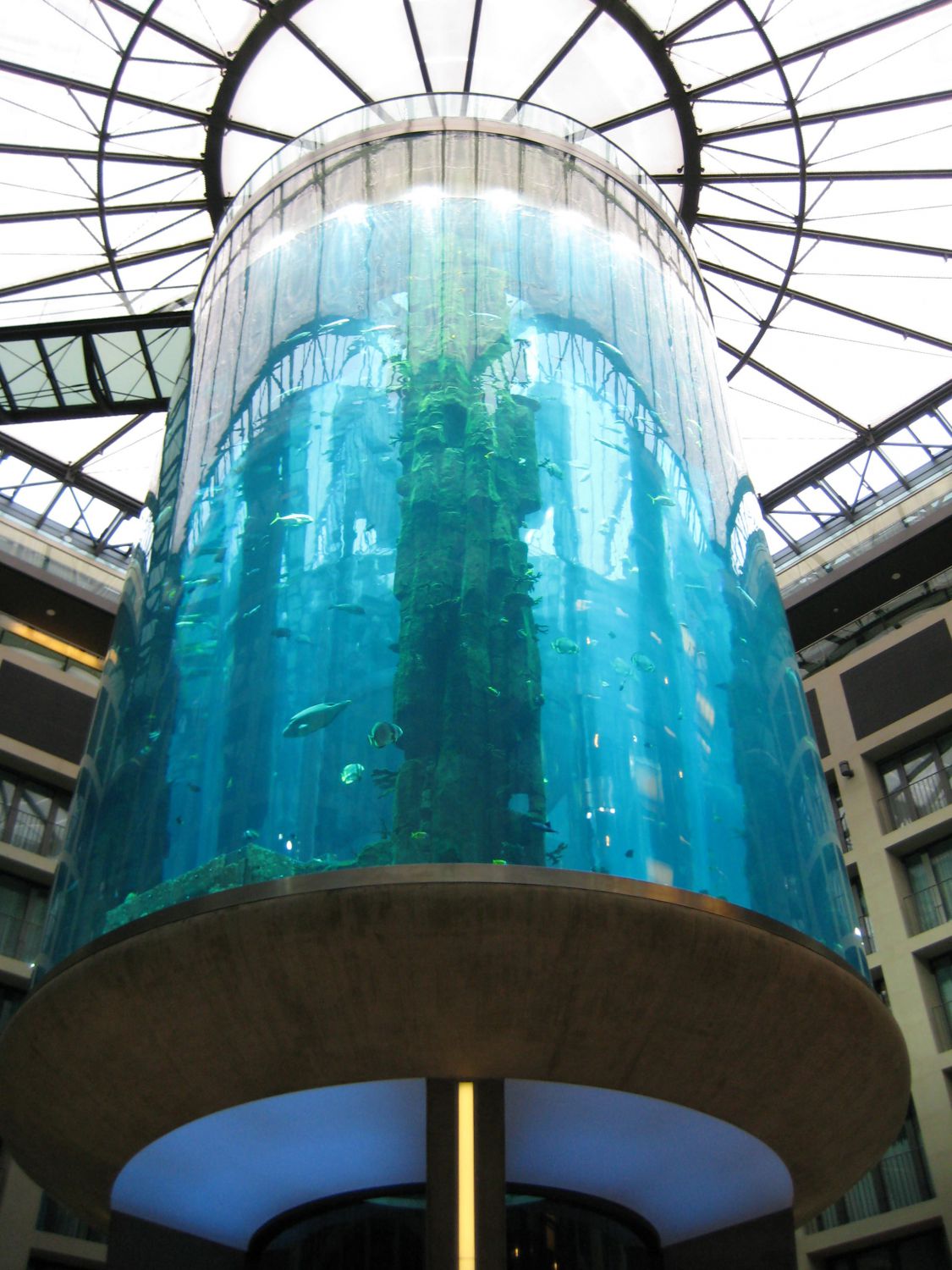 AquaDom versus HAUS DES MEERES - Haus des Meeres